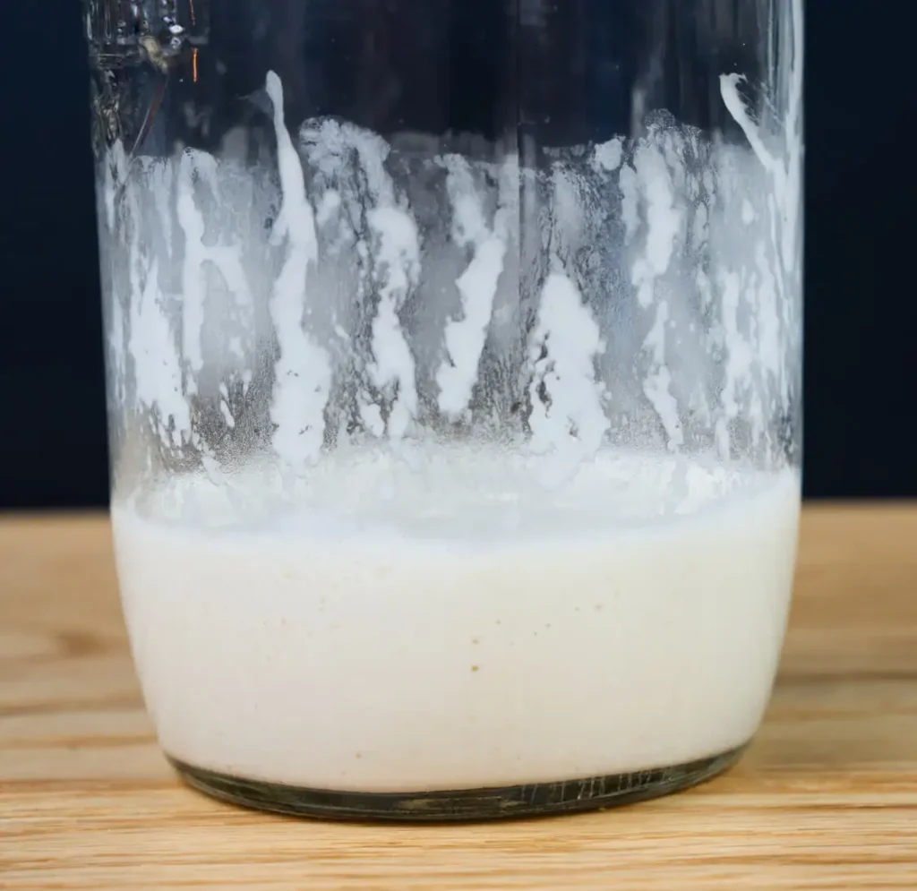Common Sourdough Starter Problems & How to Fix Them! - Lowbrow Fancy